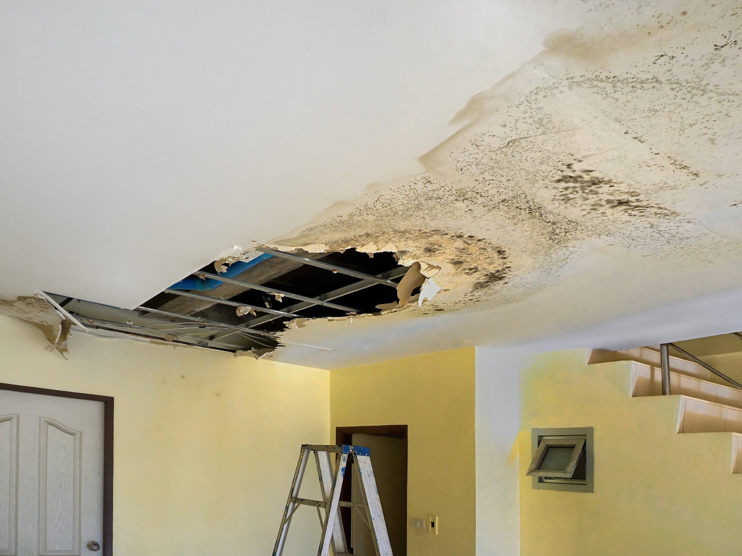 Water Leaks | Social Housing, Local Authority Housing & Housing ...